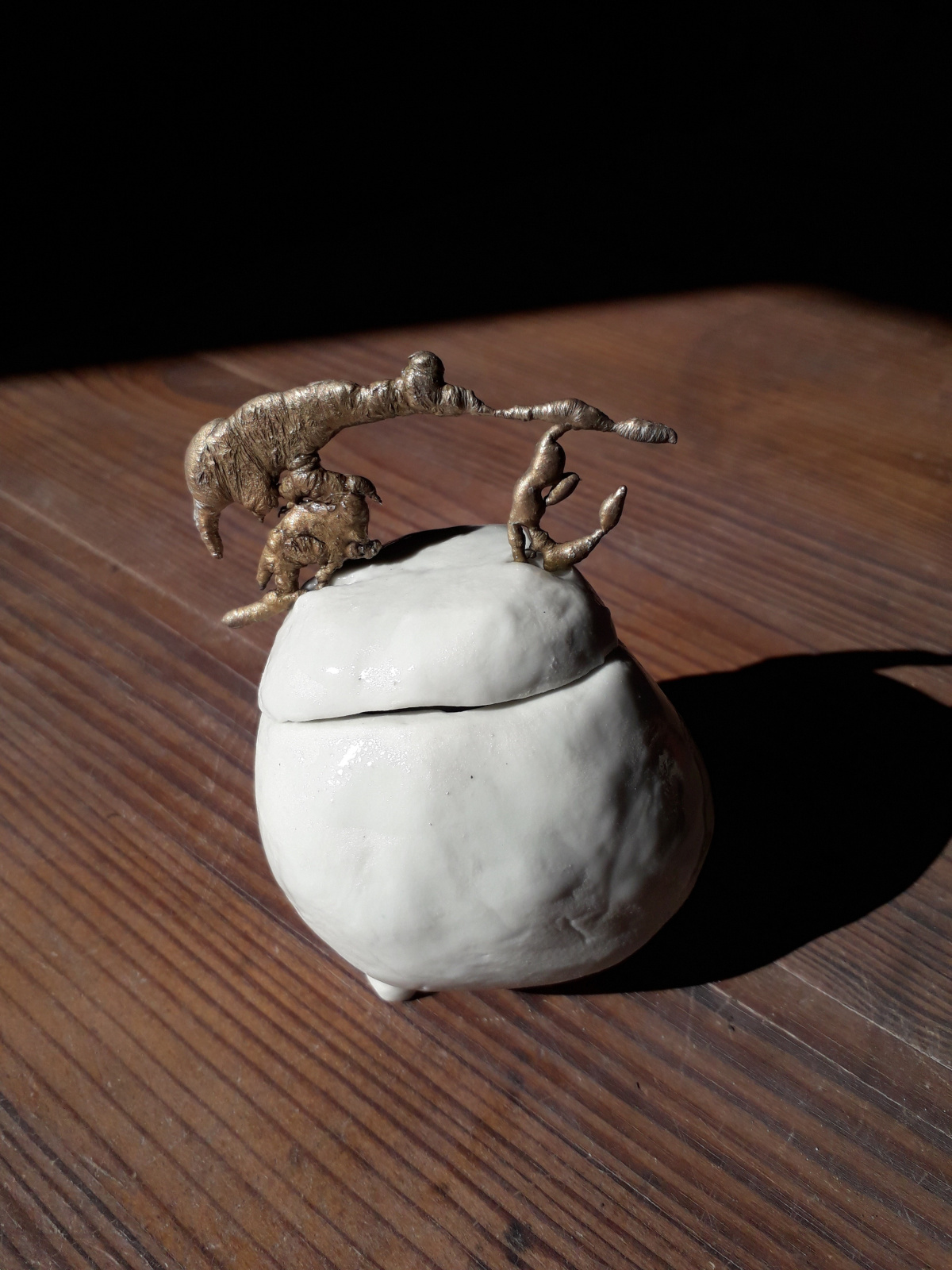 Exposició ''Amb peus de fang'' de l’artista Maria José Torres ...